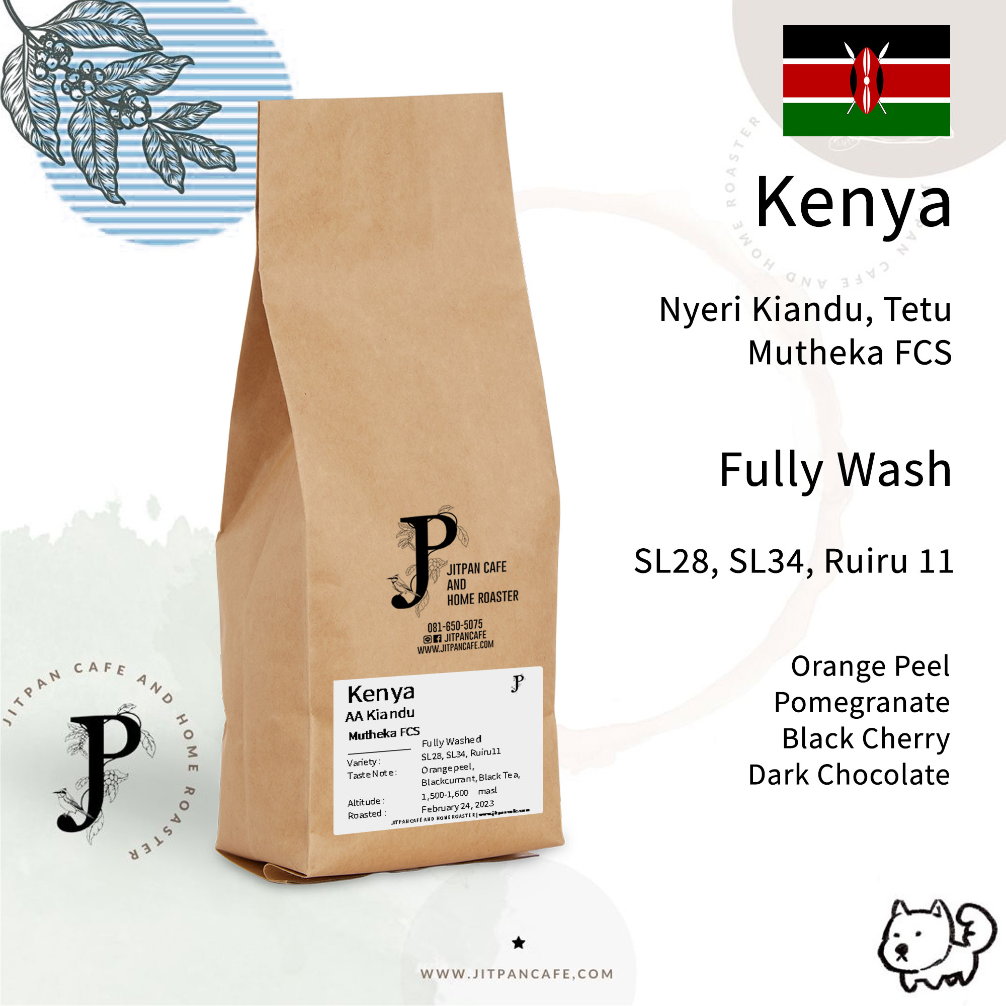 Our Coffee - Jitpan Cafe